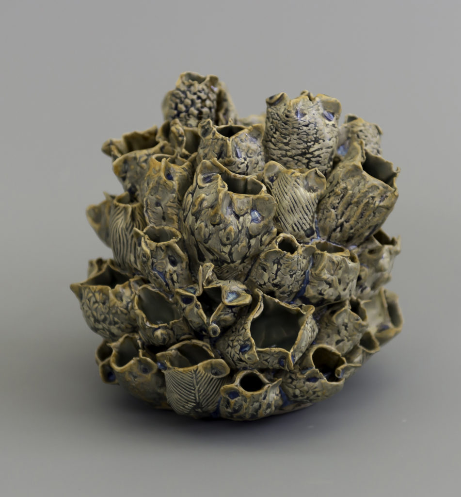 Barnacles — Nina Wiener Ceramics